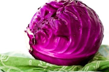 Over The Rainbow Cabbage Salad with Tahini-Lemon Dressing – Oh She Glows